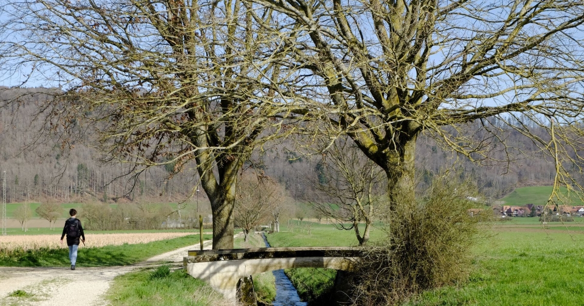 De la vallée soleuroise de la Limpach à l’Aar