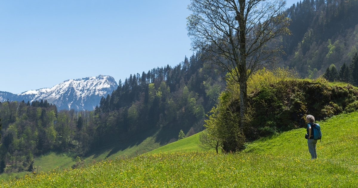 Über den Lopper zum Renggpass