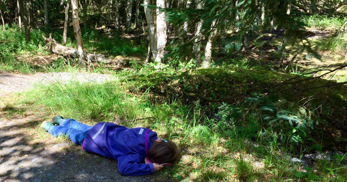 Erneut reingefallen • Schweizer Wanderwege