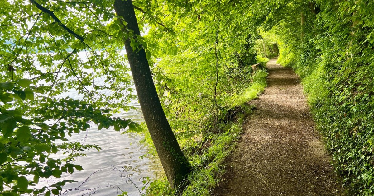 Marcher dans la nature pour se sentir mieux dans sa tête • Suisse Rando