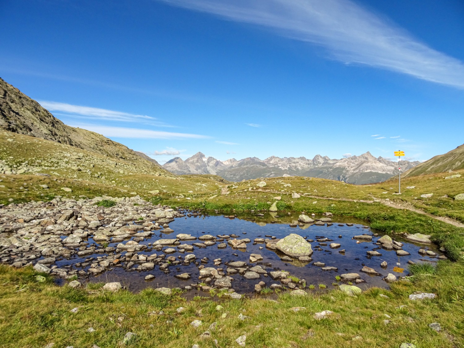 Im Reich von Alpenmohn und Steinbock
