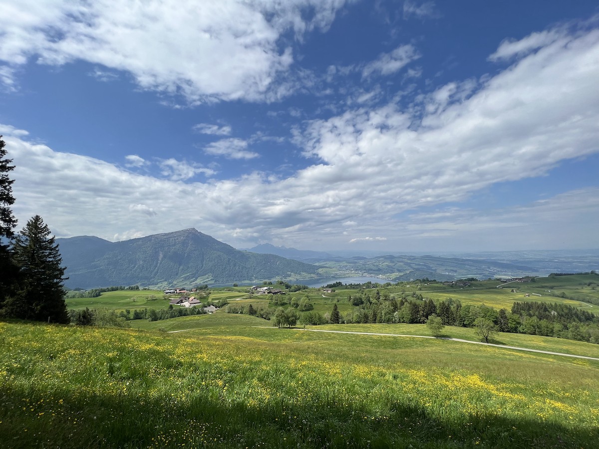 Wildspitz - der höchste Zuger