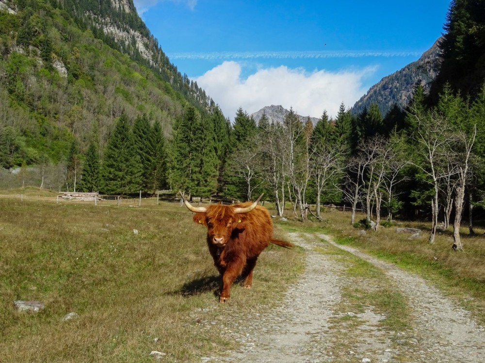 Wanderung der Calancasca entlang im Parco Val Calanca