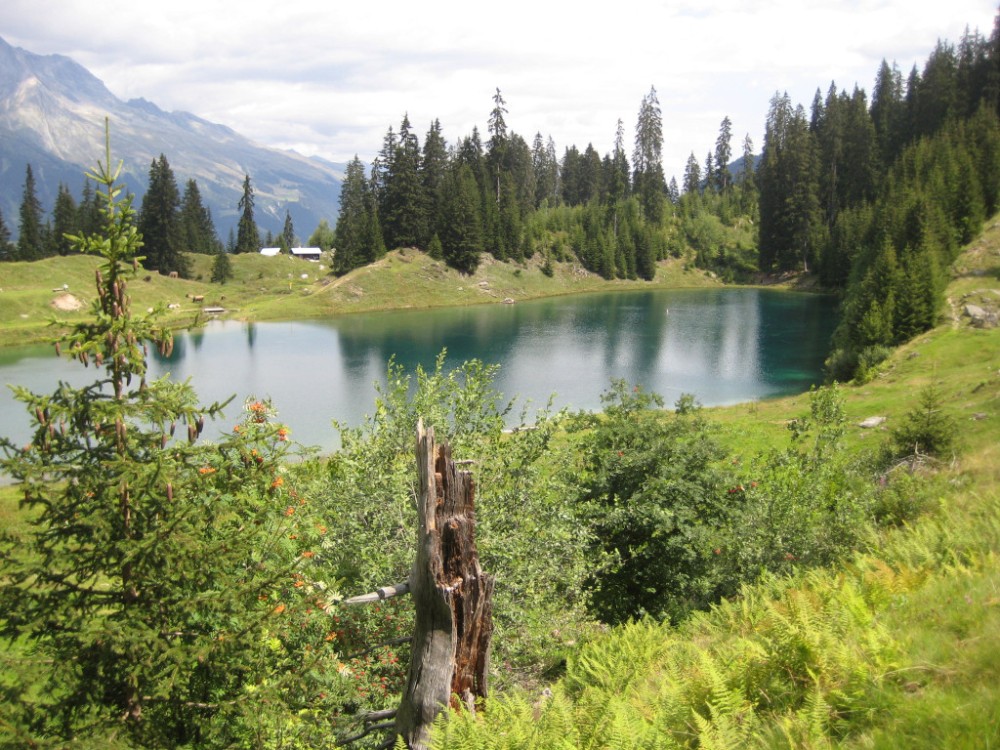 Schweizer Wanderwege | Geführte Wanderungen • Schweizer Wanderwege