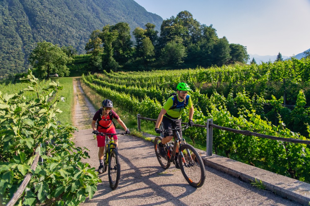 Sentieri in festa: Tour in Mountain bike