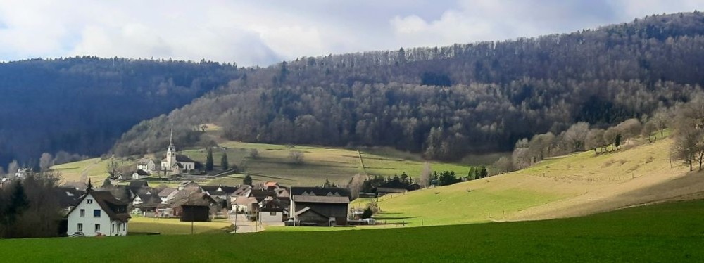 Merishausen Rundwanderung
