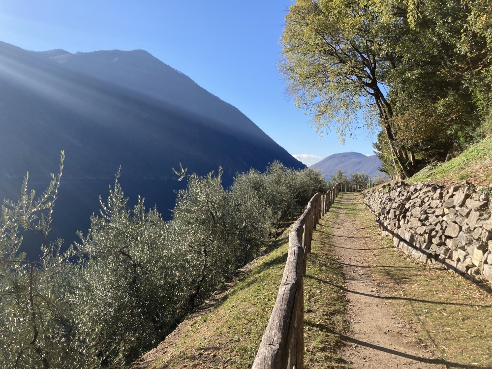 Giro del Lago a piedi e in battello