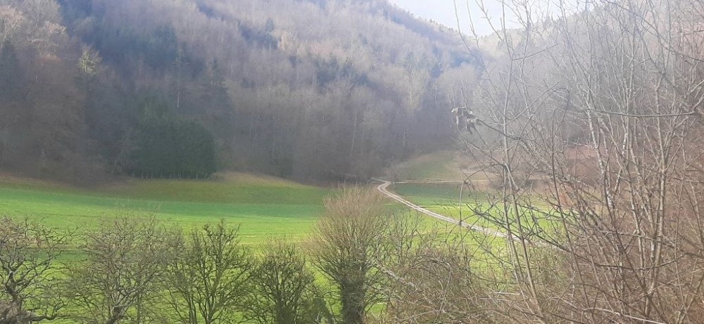 Webcams In Merishausen – Webcam Hagenturm / Schaffhausen / Schweiz – PTPSJ