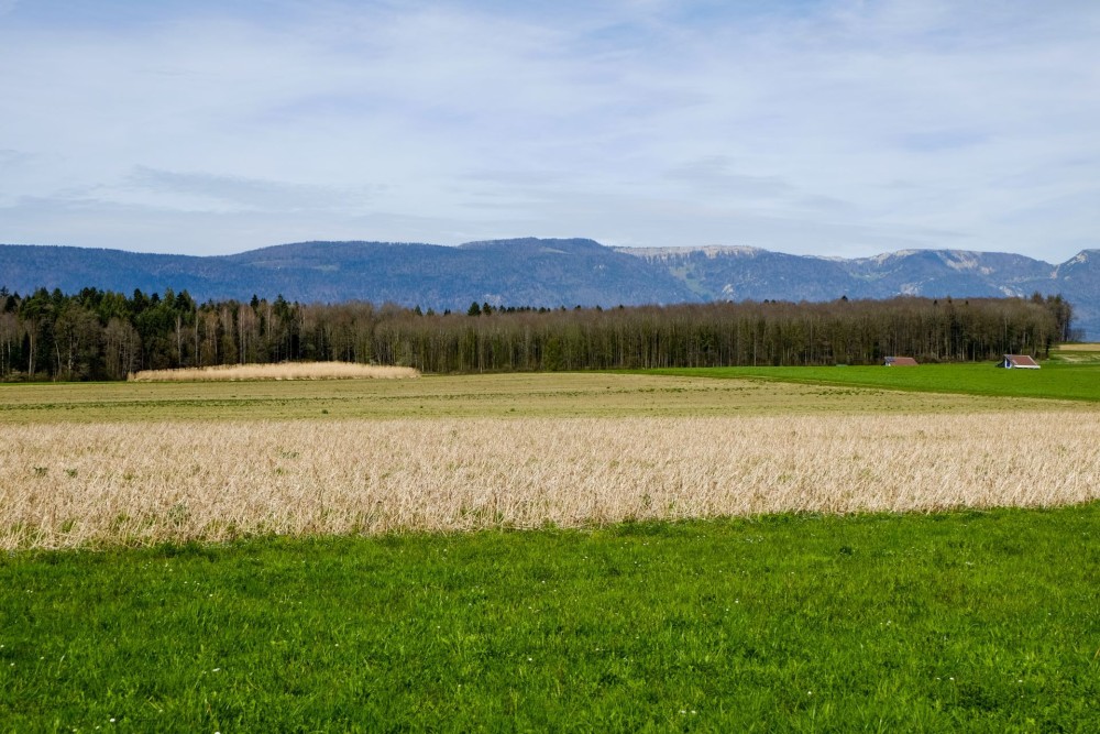 De la vallée soleuroise de la Limpach à l’Aar