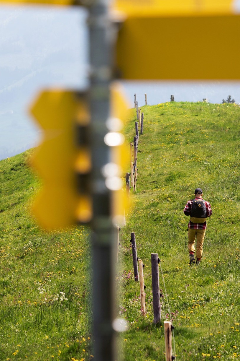 Hoch über dem Murten- und Neuenburgersee