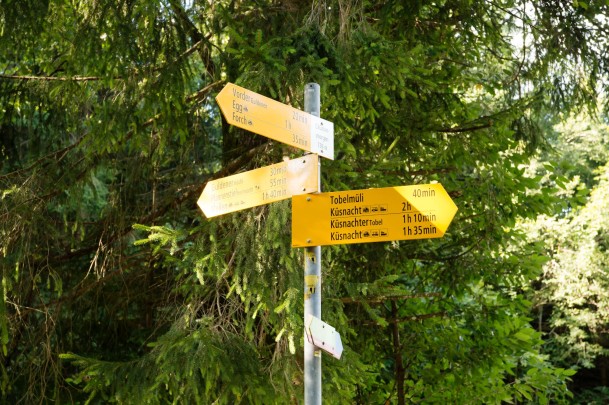 Wanderwege im Wald • Schweizer Wanderwege