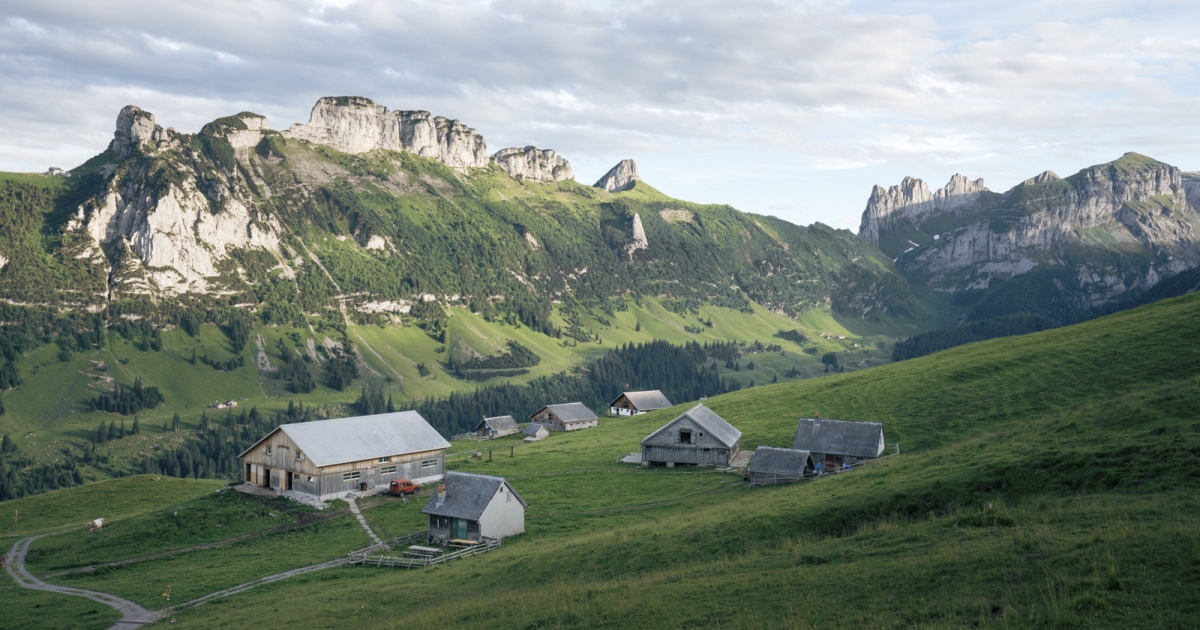 Blumenpracht und Rundsicht im Alpstein