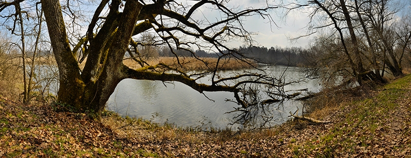 Winterliche Vogelsafari