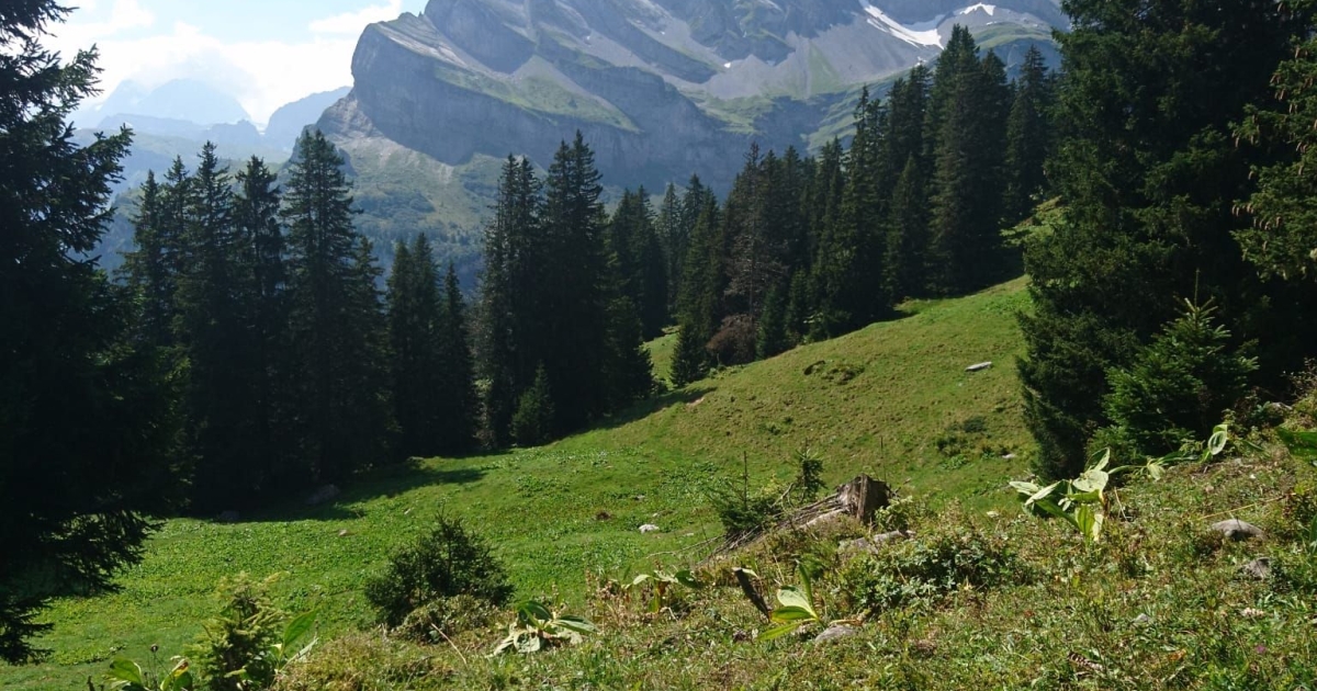 Rundwanderung Braunwald