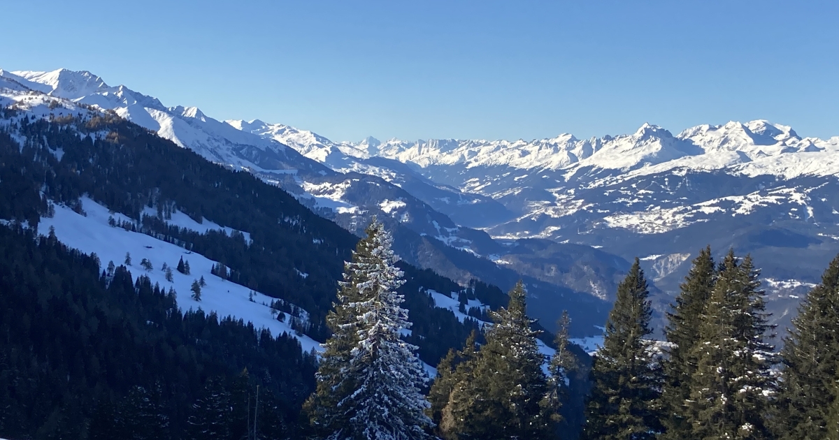 Schneeschuhwanderung Brambrüesch - Feldis