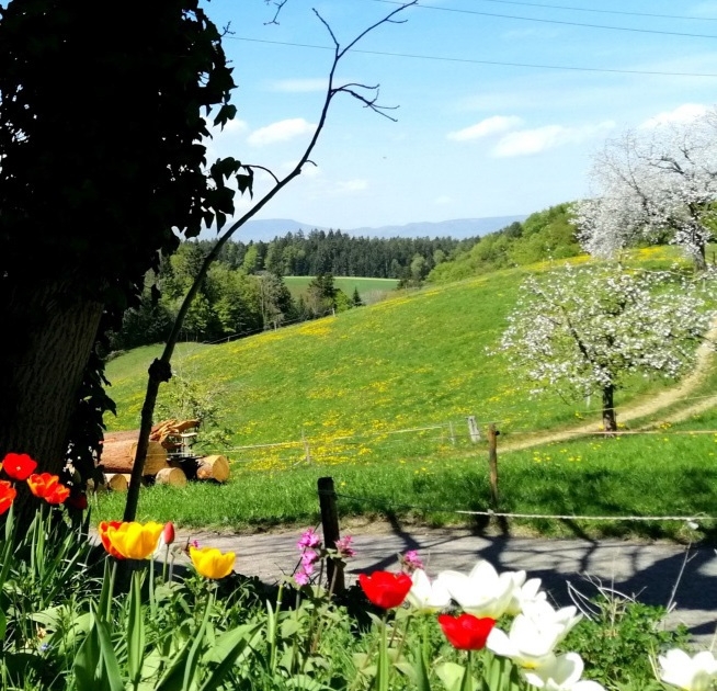 Über die Hohwacht im Oberaargau