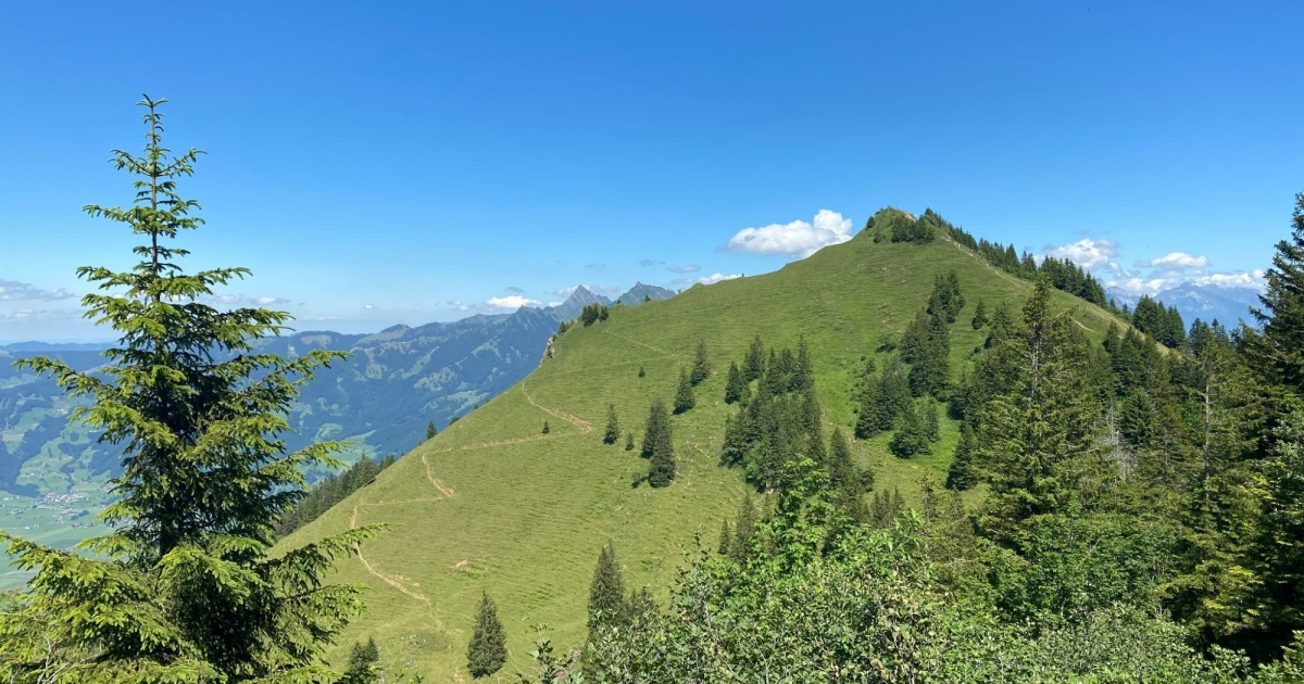 Bilten Hirzli Niederurnen