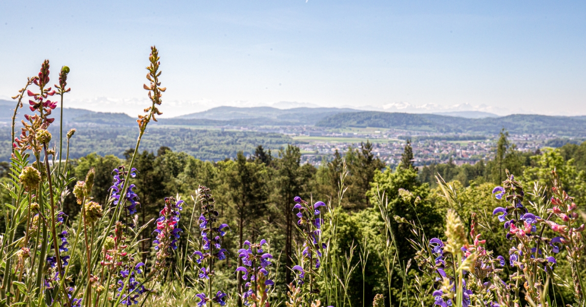 Geschichtsträchtiger Panoramaberg