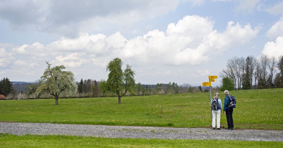 Der Wegweiser erklärt • Schweizer Wanderwege Home