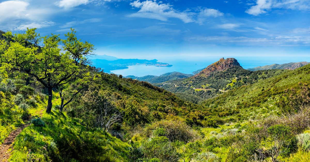Randonnée printanière sur l’île d’Elbe • Suisse Rando Home