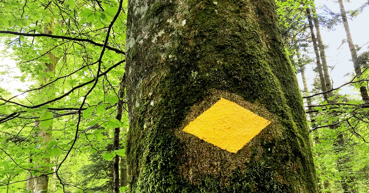 Warum werden manche Wanderwege gelb markiert und andere rot-weiss ...
