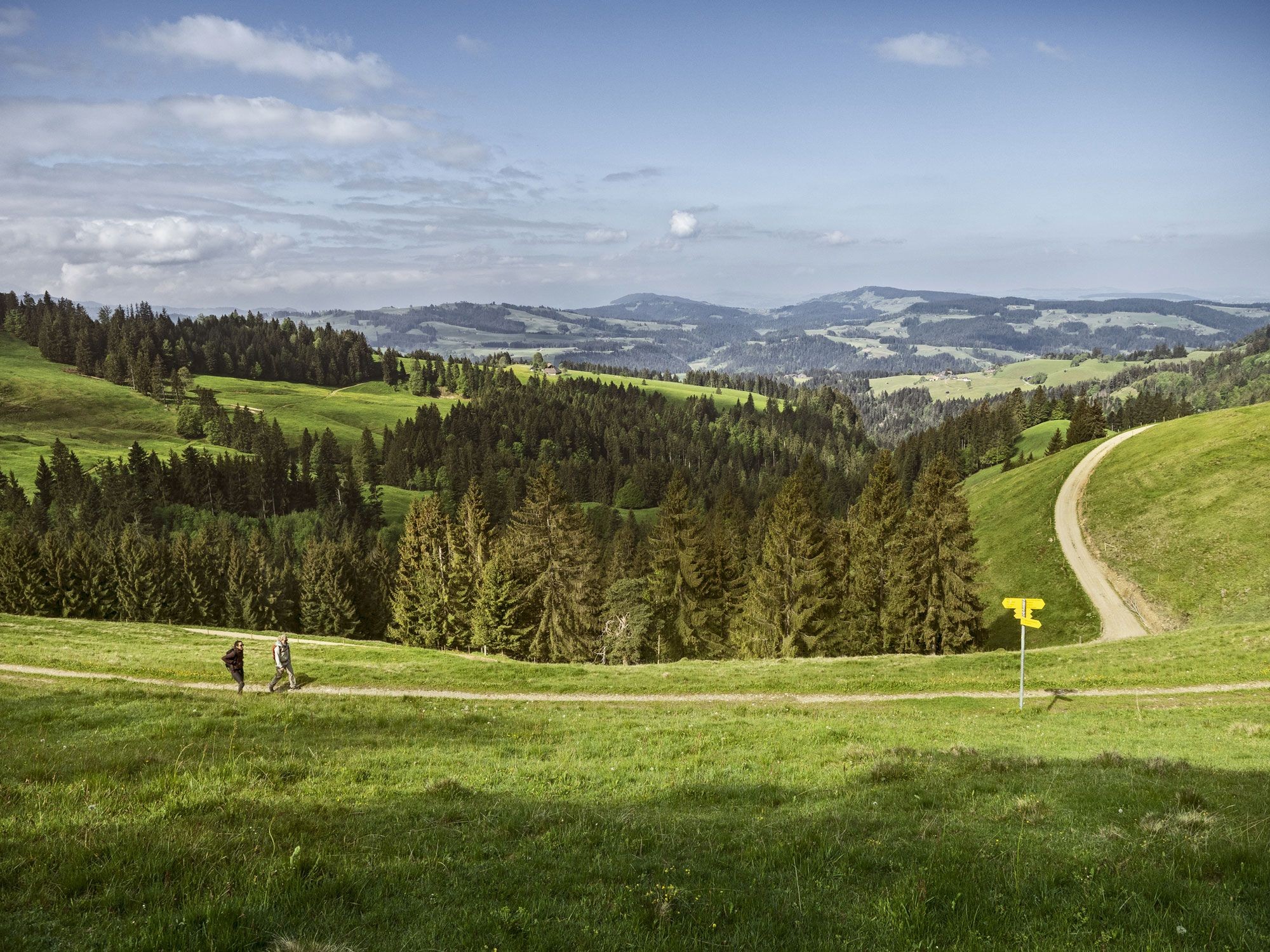 Schweizer Wanderwege • Suisse Rando Home