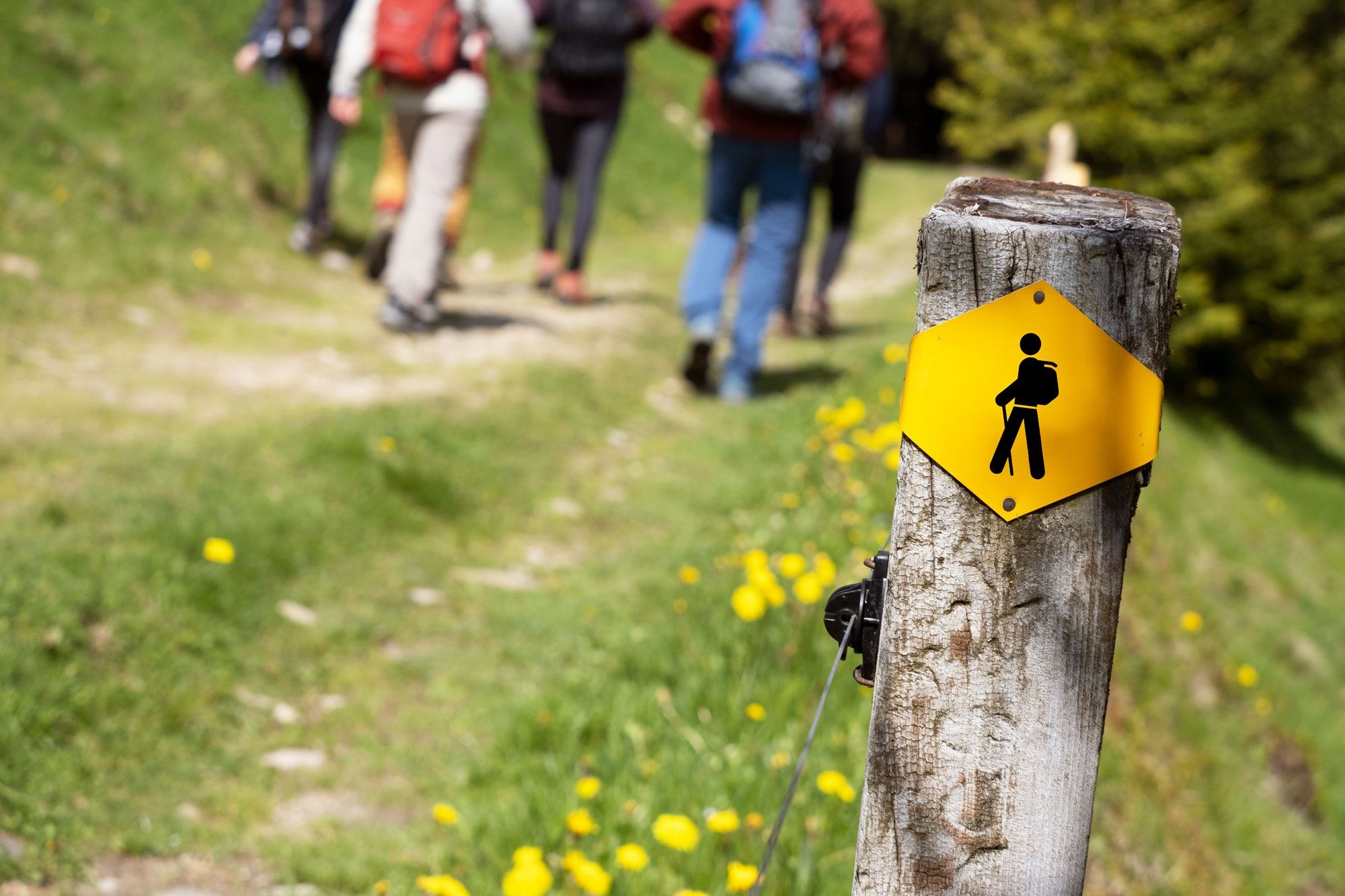 Entdecken Sie die schönsten Wanderwege der Schweiz • Schweizer Wanderwege